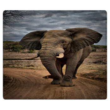 Elephant Area Rugs & Custom Size Floor Mats