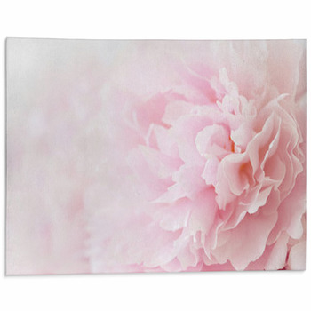 Pink floral Area Rugs & Floor Mats