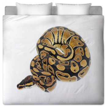 Snake Comforters, Duvets, Sheets & Sets | Custom