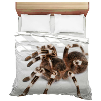 Spider Comforters, Duvets, Sheets & Sets | Personalized