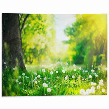 Spring Area Rugs & Custom Size Floor Mats