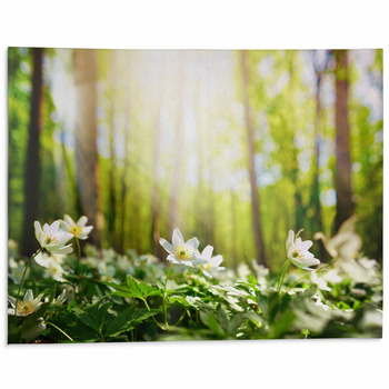 Spring Area Rugs & Custom Size Floor Mats