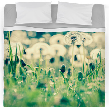 Dandelion Bedding | Comforters, Duvet Covers, Sheets & Bed Sets ...
