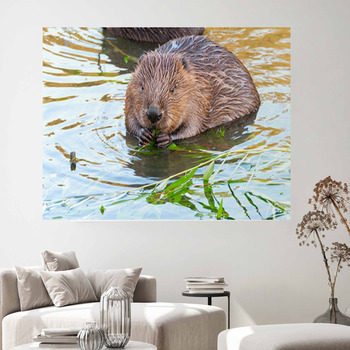 Beaver Wall Decor in Canvas, Murals, Tapestries, Posters & More