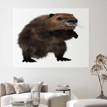 Beaver Wall Decor in Canvas, Murals, Tapestries, Posters & More
