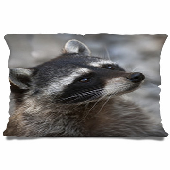 Raccoon Comforters, Duvets, Sheets & Sets | Personalized