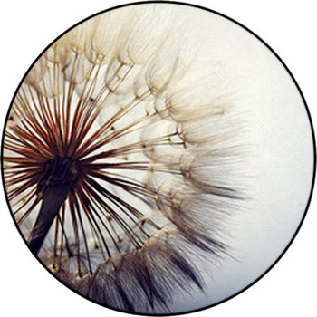 Dandelion Area Rugs & Floor Mats