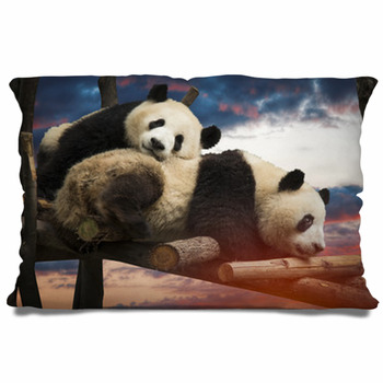 Panda Comforters, Duvets, Sheets & Sets | Personalized