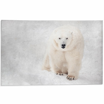 Polar bear Area Rugs & Floor Mats