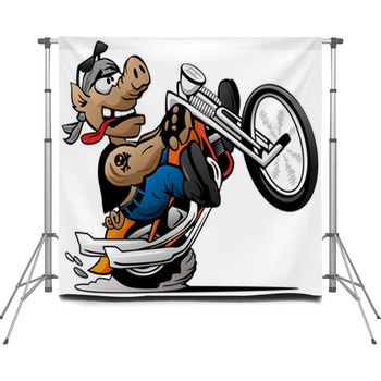 Pig Photographer Backdrops | Available in nearly ANY Custom Sizes