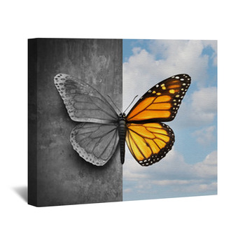 Butterfly Wall Decor in Canvas, Murals, Tapestries, Posters & More