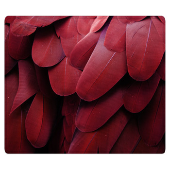 Feather Rugs & Custom Size Floor Mats