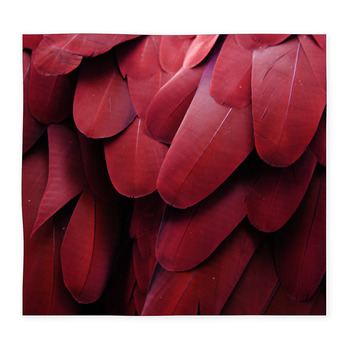 Feather Area Rugs & Custom Size Floor Mats