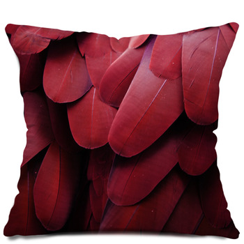 Feather Throw Pillows, Cases, & Shams
