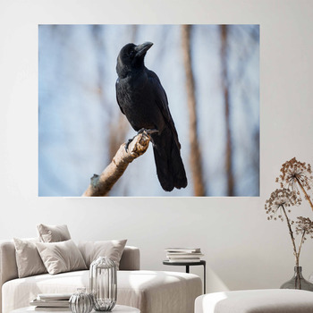 Raven Wall Decor in Canvas, Murals, Tapestries, Posters & More