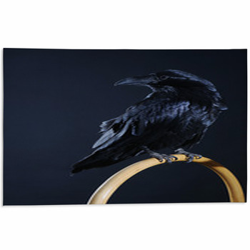 Raven Rugs & Custom Size Floor Mats