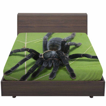 Spider Bedding | Comforters, Duvet Covers, Sheets & Bed Sets | Personalized