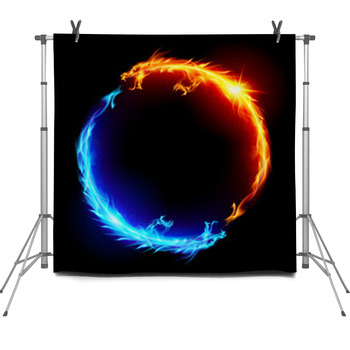Dragon Photographer Backdrops | Available in Ultra Large Custom Sizes