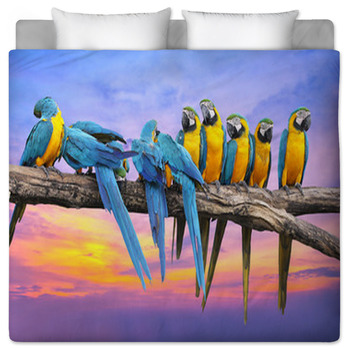 Parrot Bedding | Comforters, Duvet Covers, Sheets & Bed Sets | Personalized