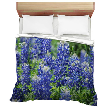 Texas Comforters, Duvets, Sheets & Sets | Personalized