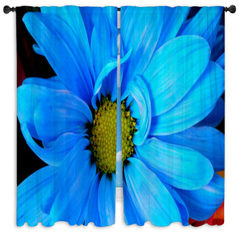 Daisy Drapes & Window Treatments | Black Out | Custom Sizes