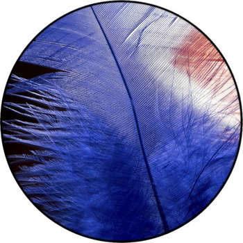 Feather Rugs & Custom Size Floor Mats