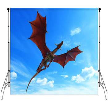 Dragon Photographer Backdrops | Available in Ultra Large Custom Sizes