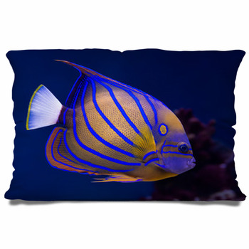 Tropical fish Comforters, Duvets, Sheets & Sets | Custom