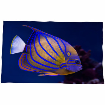 Tropical fish Comforters, Duvets, Sheets & Sets | Custom