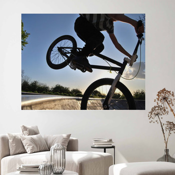 Bmx Wall Decor in Canvas, Murals, Tapestries, Posters & More