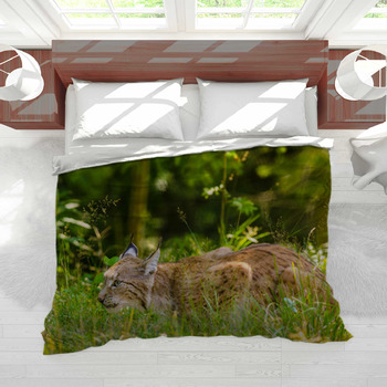 Bobcat Comforters, Duvets, Sheets & Sets | Personalized