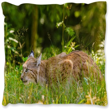 Bobcat Comforters, Duvets, Sheets & Sets | Personalized