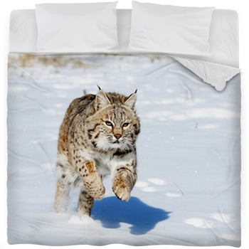 Bobcat Fleece Blanket Throws | Free Personalization