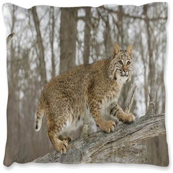 Bobcat Comforters, Duvets, Sheets & Sets | Personalized
