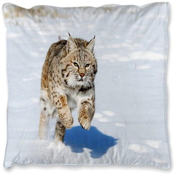 Bobcat Bedding | Comforters, Duvet Covers, Sheets & Bed Sets | Custom
