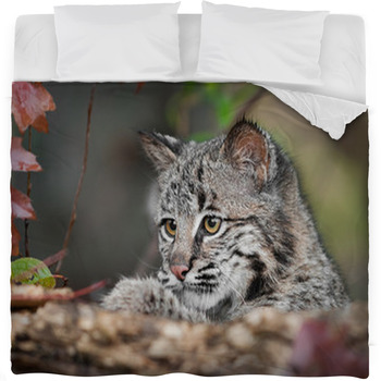 Bobcat Fleece Blanket Throws | Free Personalization