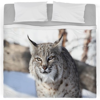 Bobcat Comforters, Duvets, Sheets & Sets | Personalized