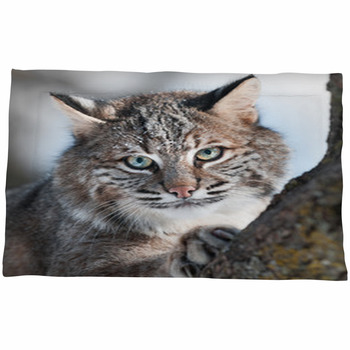 Bobcat Comforters, Duvets, Sheets & Sets | Personalized