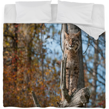 Bobcat Fleece Blanket Throws | Free Personalization