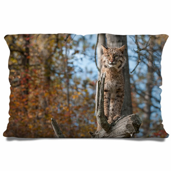 Bobcat Comforters, Duvets, Sheets & Sets | Personalized
