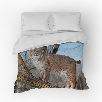 Bobcat Comforters, Duvets, Sheets & Sets | Personalized