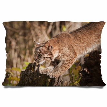Bobcat Comforters, Duvets, Sheets & Sets | Personalized