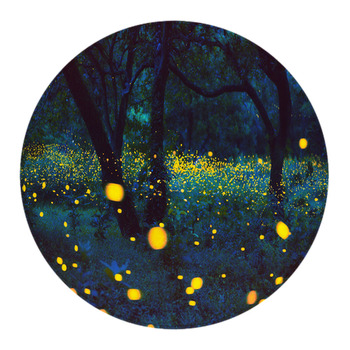 Firefly Area Rugs & Floor Mats