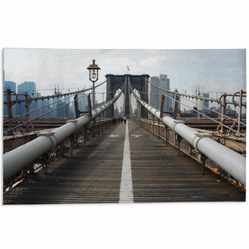New york Area Rugs & Floor Mats