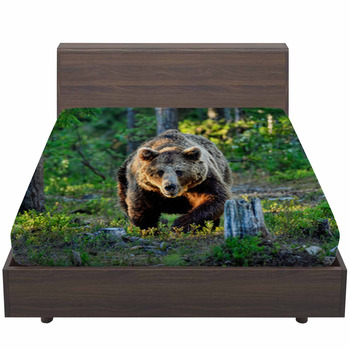 Bear Comforters, Duvets, Sheets & Sets | Custom