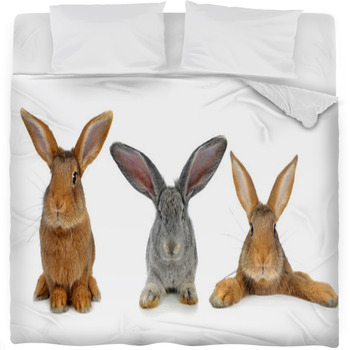 Bunny Fleece Blanket Throws | Free Personalization