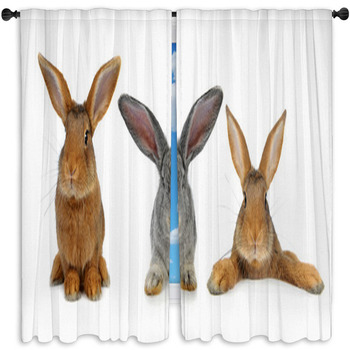 Bunny Window Curtains & Drapes | Black Out | Custom Sizes