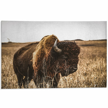 Buffalo Area Rugs & Custom Size Floor Mats