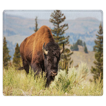 Buffalo Area Rugs & Custom Size Floor Mats