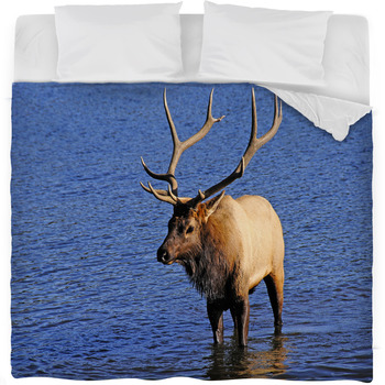 Elk Comforters, Duvets, Sheets & Sets | Custom